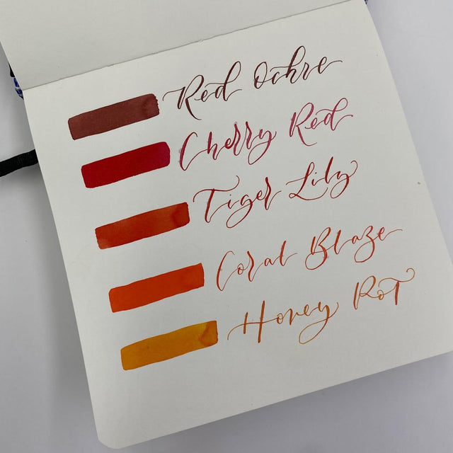 Diamine Forever Ink Permanent Pigment Fountain Pen Ink 50ml