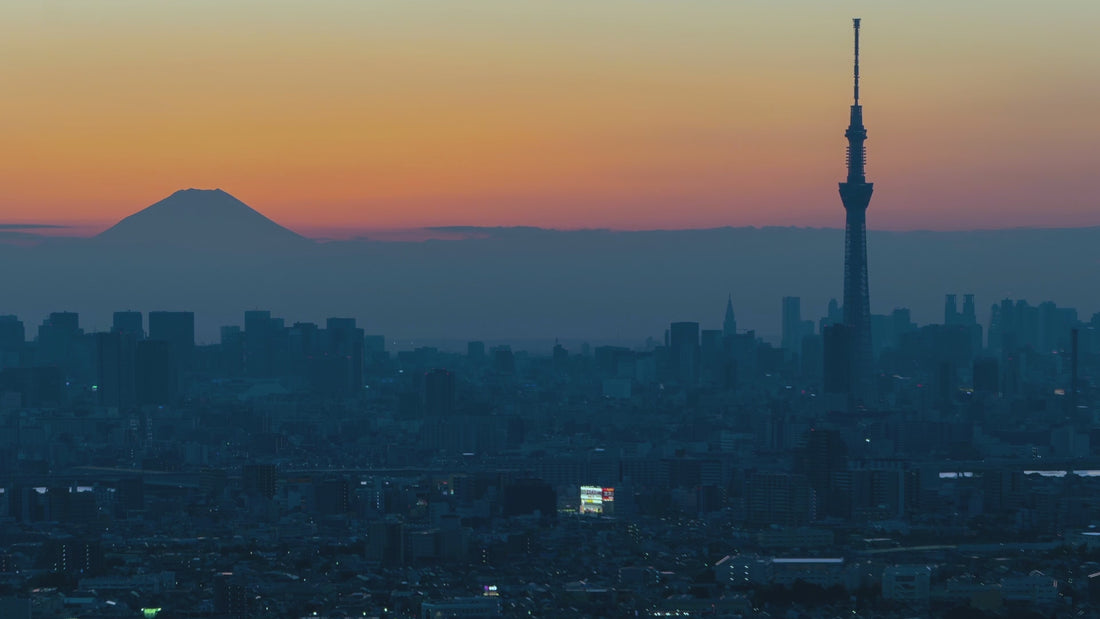 Pilot Capless Fountain Pen Limited Edition 2025 Link Midnight